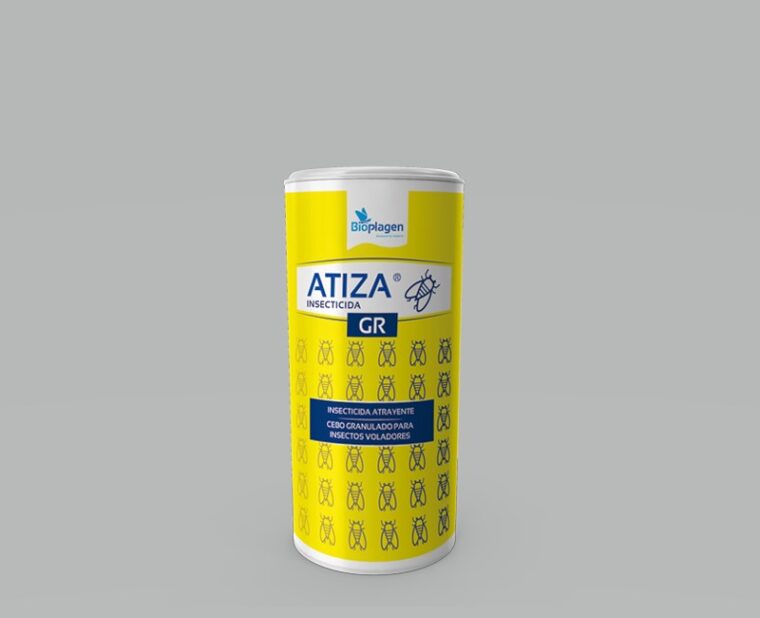 Atiza - Flaer